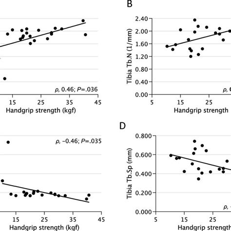 Associations Between Handgrip Strength And Bone Microarchitecture A Download Scientific