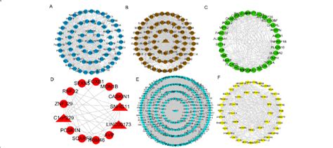 Co Expression Networks Of The Six Modules A The Blue Module B The