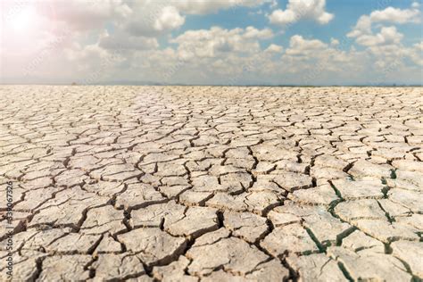 What Does Dry Land Represent In The Bible At Catherine Fletcher Blog