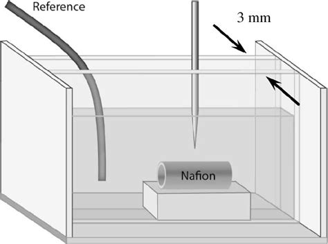Figure 1 From Solute Free Interfacial Zones In Polar Liquids