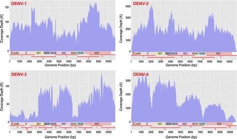 Representative Depth Of Coverage Plots For Denv1 4 Denv1 And 3 Were