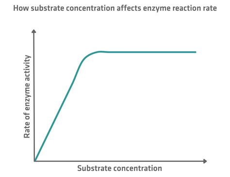 Enzyme Substrate Complex Graph