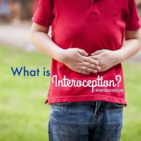 What Is Interoception The Inspired Treehouse
