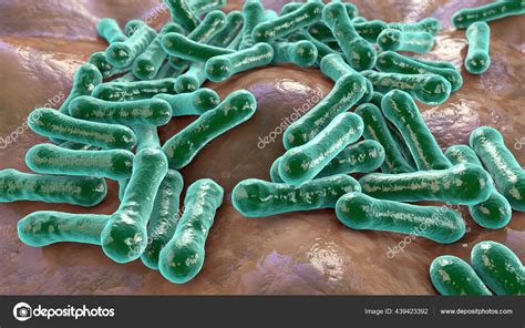 Diphtheria Bacteria Shape