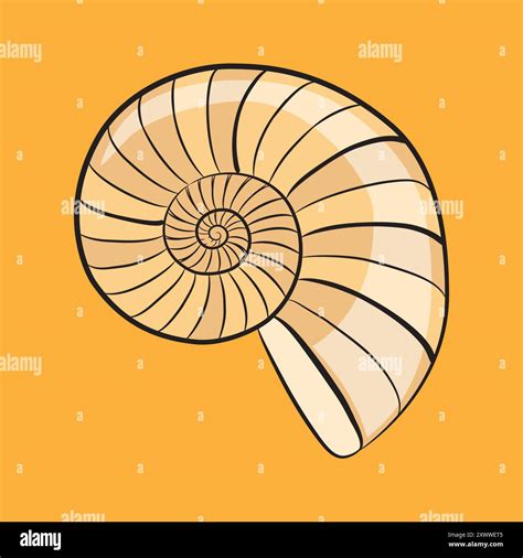 Hand Drawn Nautilus Shell Illustration Stock Vector Image And Art Alamy