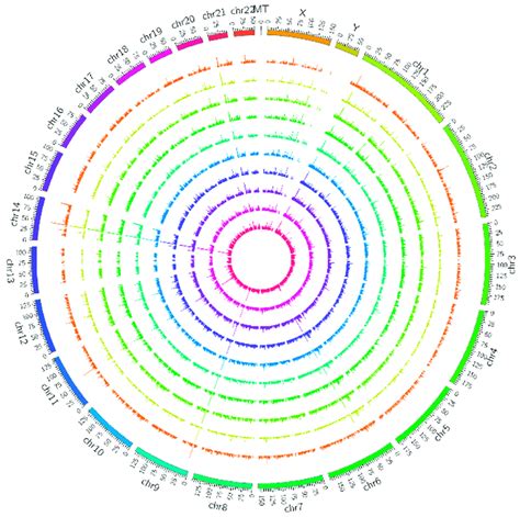 Long Noncoding Rnas Lncrna Mapping Shows Lncrna Distribution In Each