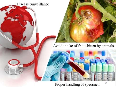 nipah virus ppt pptx infectious diseases diseases and conditions