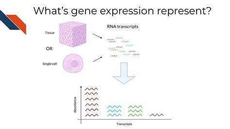 Chapter 11 Rna Methods Overview Choosing Genomics Tools