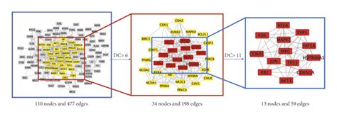 Network Topology Analysis Of Ppi Download Scientific Diagram