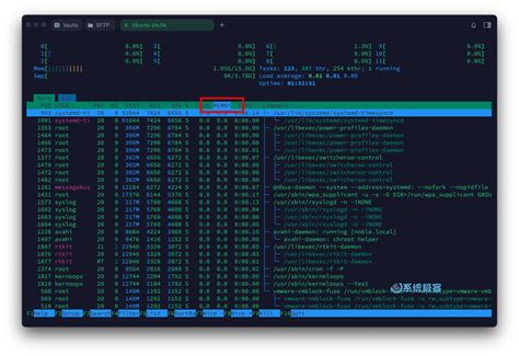 Htop 命令安装和使用详解:从入门到精通 系统极客 Htop 命令安装和使用详解:从入门到精通 系统极客