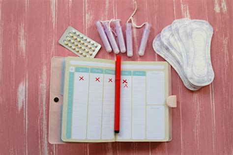 How To Calculate Ovulation And Fertile Days A Simple Guide Silvy Brand