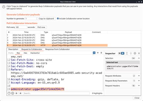 Portswigger Reflected And Stored Cross Site Scripting Cyberiumx