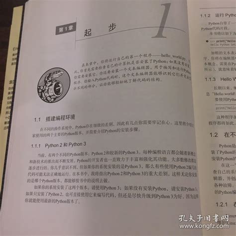 Python编程从入门到实践 美 埃里克马瑟斯Eric Matthes 著袁国忠 译 孔夫子旧书网
