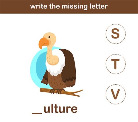 Premium Vector Write The Missing Letterillustration Vector