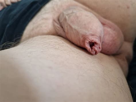 My Flaccid Thick Uncut Cock Pics Xhamster