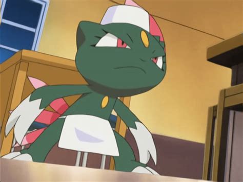 100 Sneasel Wallpapers