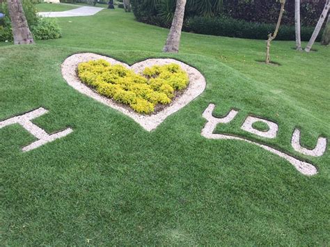 Have You Ever Seen Husband And Wife Trees Midlife Mama