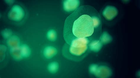 3d Animation Of Generic Cells Bacteria Stock Motion Graphics Sbv