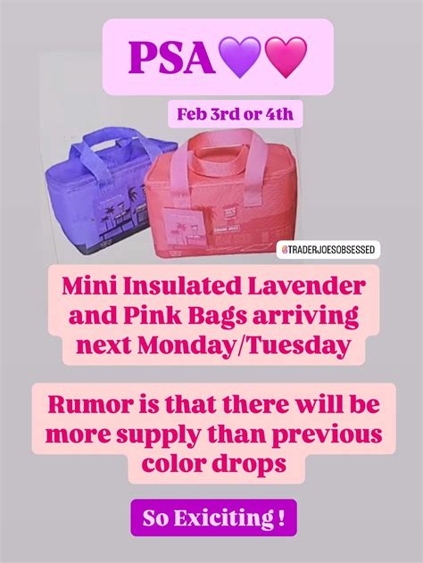 Trader Joes Mini Cooler Tote Bags Return For Spring 2025 Brit Co