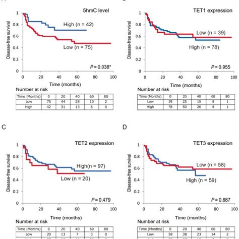 Comparison Of 5 HmC Levels And The Number Of TET High Expression Events Download Scientific