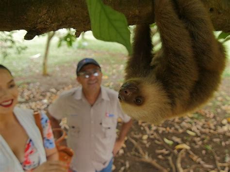 HNL ARENAL COSTA RICA (2025) All You Should Know BEFORE You Go (w/ Reviews)