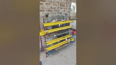 আমার মুরগির খামার। Vlog Minivlog Gardening ছাদ Garden Youtube