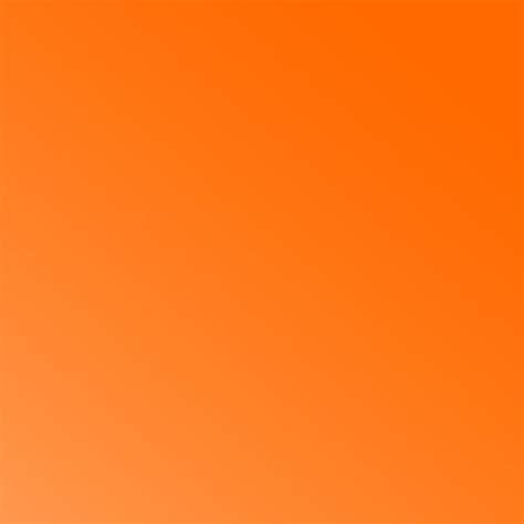 Orange Comme Lindélicatesse Du Cosmos J Mp Zgdkki Ou J Mp Rb Ele Idc De