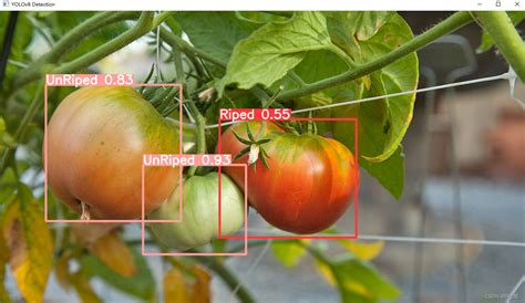 [nanny level tutorial yolov8 improvements] [5] both accuracy and