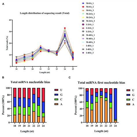 Total Abundance Of Small Rna Sequences In Each Size Class And Mirna