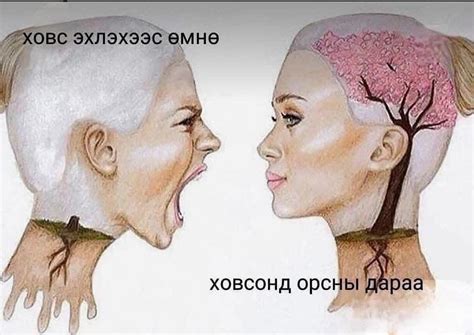 Файз академи Ховсын эмчилгээ нь сэтгэл зүйн эмгэг айдас түгшүүр зуршил зэрэгт эерэг нөлөө