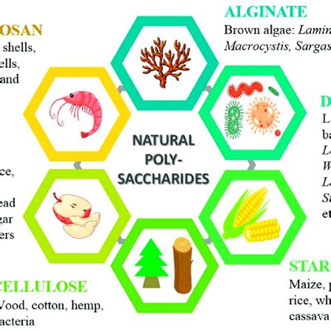Main Natural Polysaccharides From Various Sources Which Can Be Used As Download Scientific