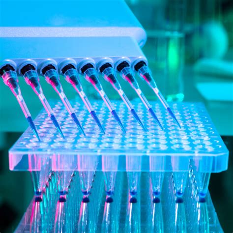 Ngs Services Market Demand Key Growth Opportunities Development And Forecasts To 2024 2033 Ngs Services Market Demand Key Growth Opportunities Development And Forecasts To 2024 2033