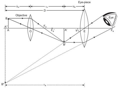 Draw A Ray Diagram Of A Compound Microscope Write The Expression For Its Magnifying Power
