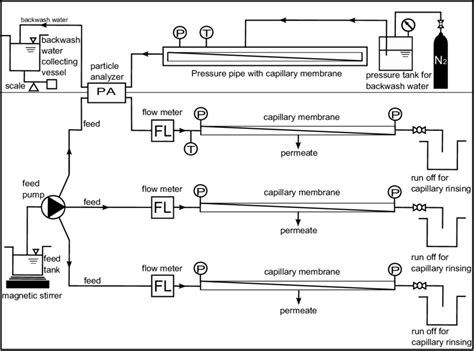 Filter Backwash Cycle At Sandra Mathers Blog