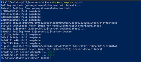 Colocando Um Servidor L2jserver Online Em 10 Minutos Uma Abordagem De