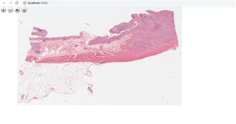 All About Javascript Window Object By Teja Chitturi Medium