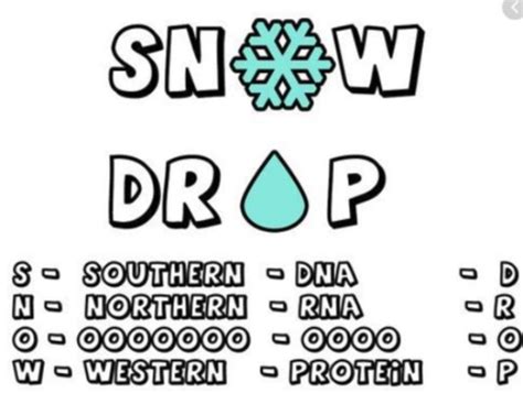 Dna Replication Transcription Translation Questions Flashcards Quizlet