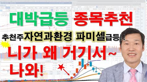 공개추천주 자연과환경 파미셀 바이오니아 급등 메가엠디 Ybm넷 급등시황 전략및 급등주 단타매매 세력주 추천 케이엠제약 피씨디렉트 컴퍼니케이 진흥기업 모트렉스 우양