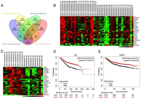 Screening Of Differential Genes Between The Metastatic Group And Download Scientific Diagram
