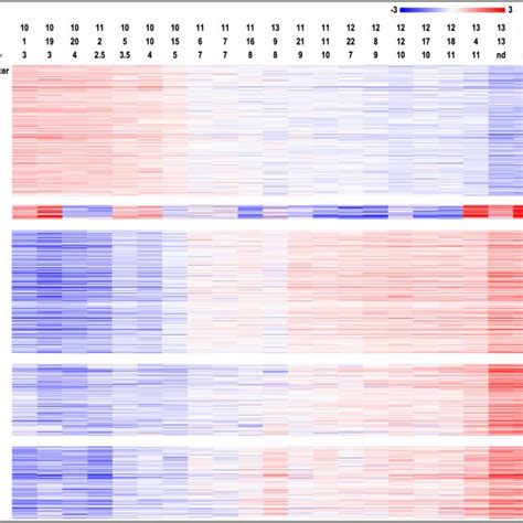 Clustering Of Deg With Similar Expression Profiles Across Pregnancy Download Scientific Diagram