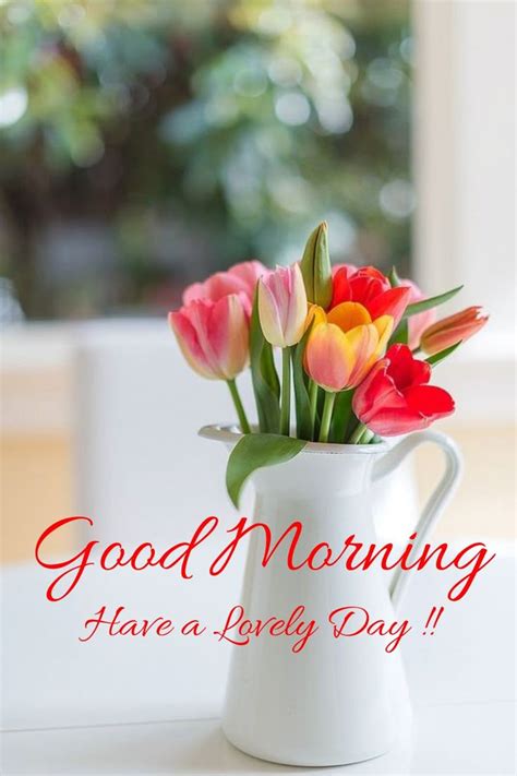 Good Morning Images With Flowers Hd At Mabel Singer Blog