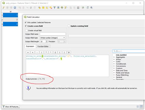 Field Calculator Listing IDs Of All Selected Features With Expression In QGIS Geographic
