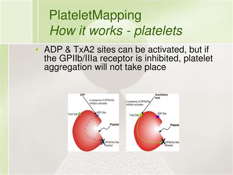 Ppt Basic Clinician Training Module 7 Powerpoint Presentation Free
