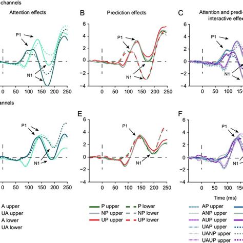 Effects Of Attention And Prediction On Later Stages Of Visual Download Scientific Diagram