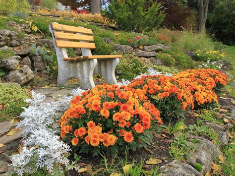Flowers Garden