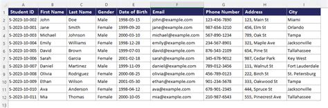Database In Excel Definition Types Creation Free Templates ExcelDemy