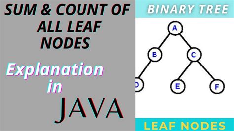 Sum And Count Of All Leaf Nodes In Binary Tree Java Implementation Binary Tree Data Structure