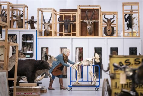 What Neanderthal Bones Reveal About Their Sex Lives SAPIENS