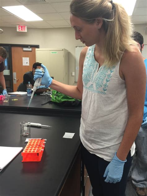 Lab Working With A Pipette