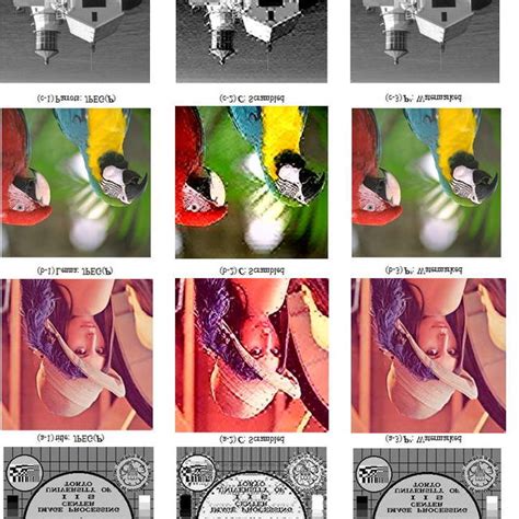 Examples Of Experimental Images Download Scientific Diagram